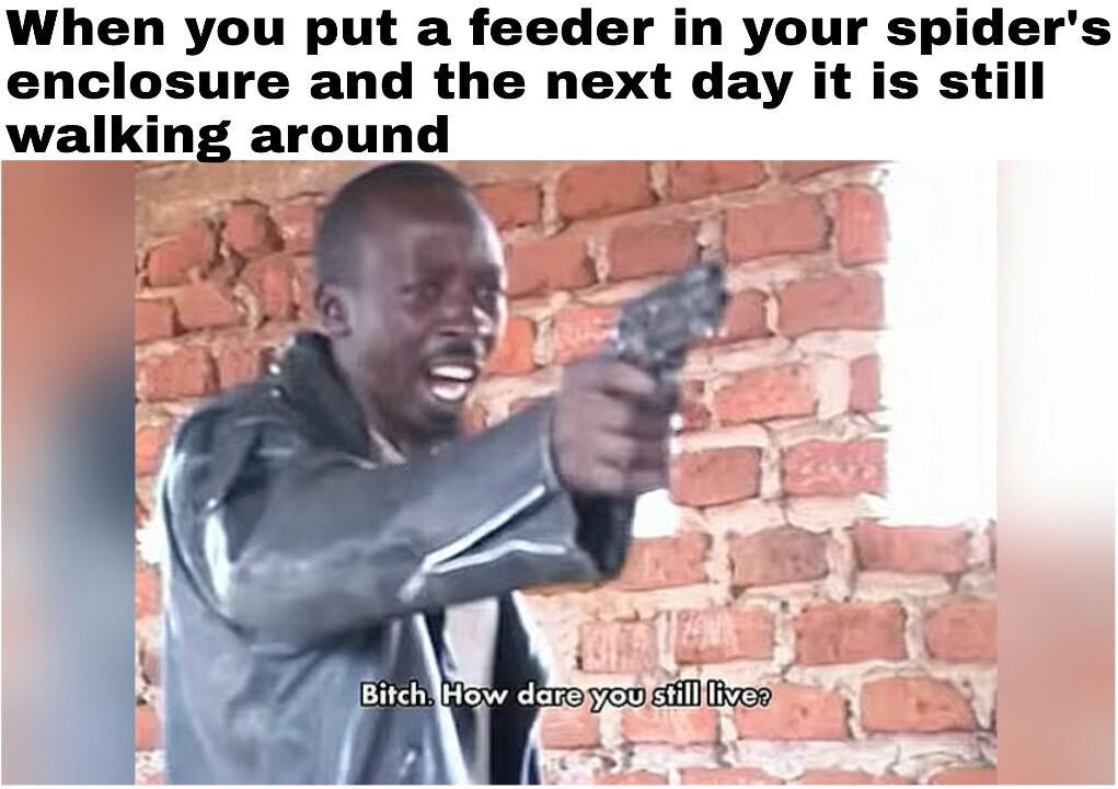 Unacceptable | Scrolller