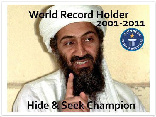 Undefeated | Scrolller