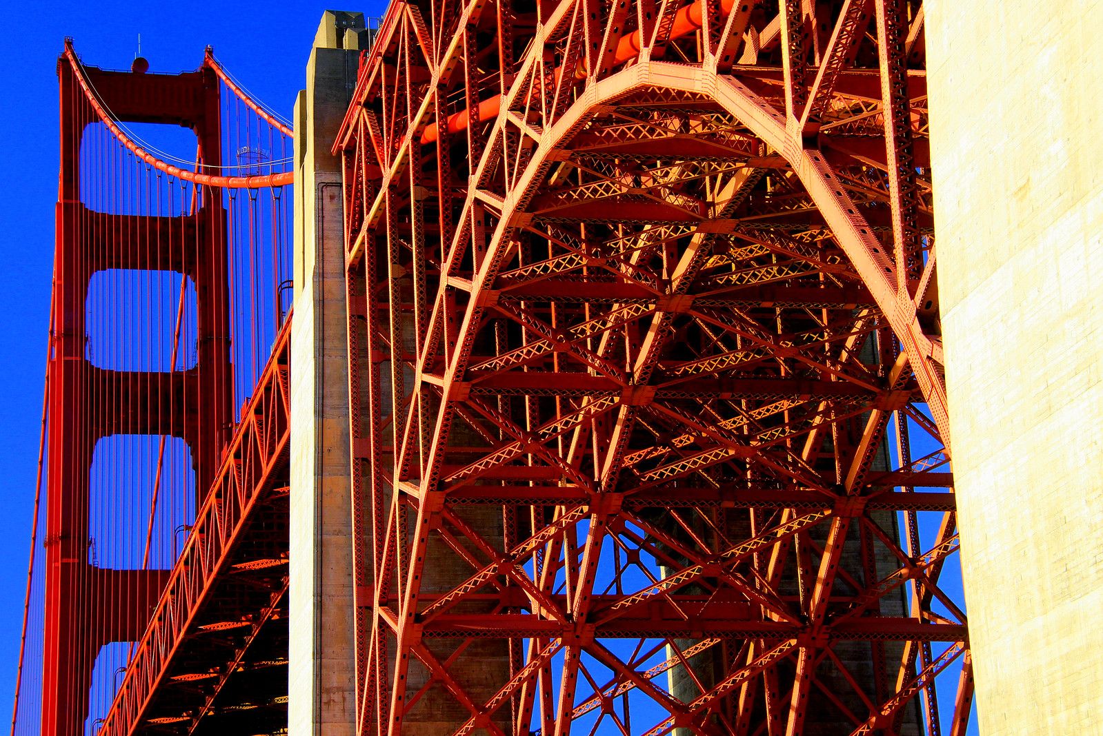 Under Golden Gate Bridge | Scrolller