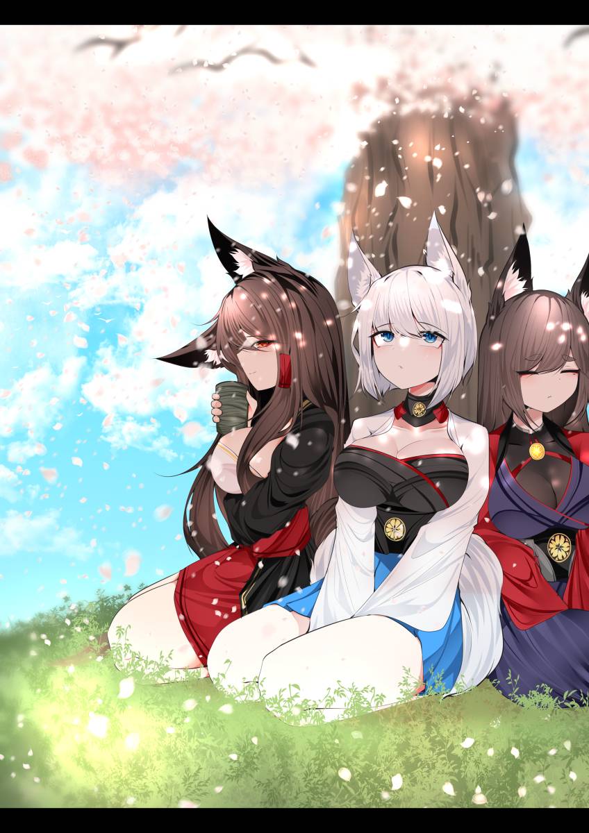 Under the cherry blossom [Akagi, Kaga, Amagi] | Scrolller