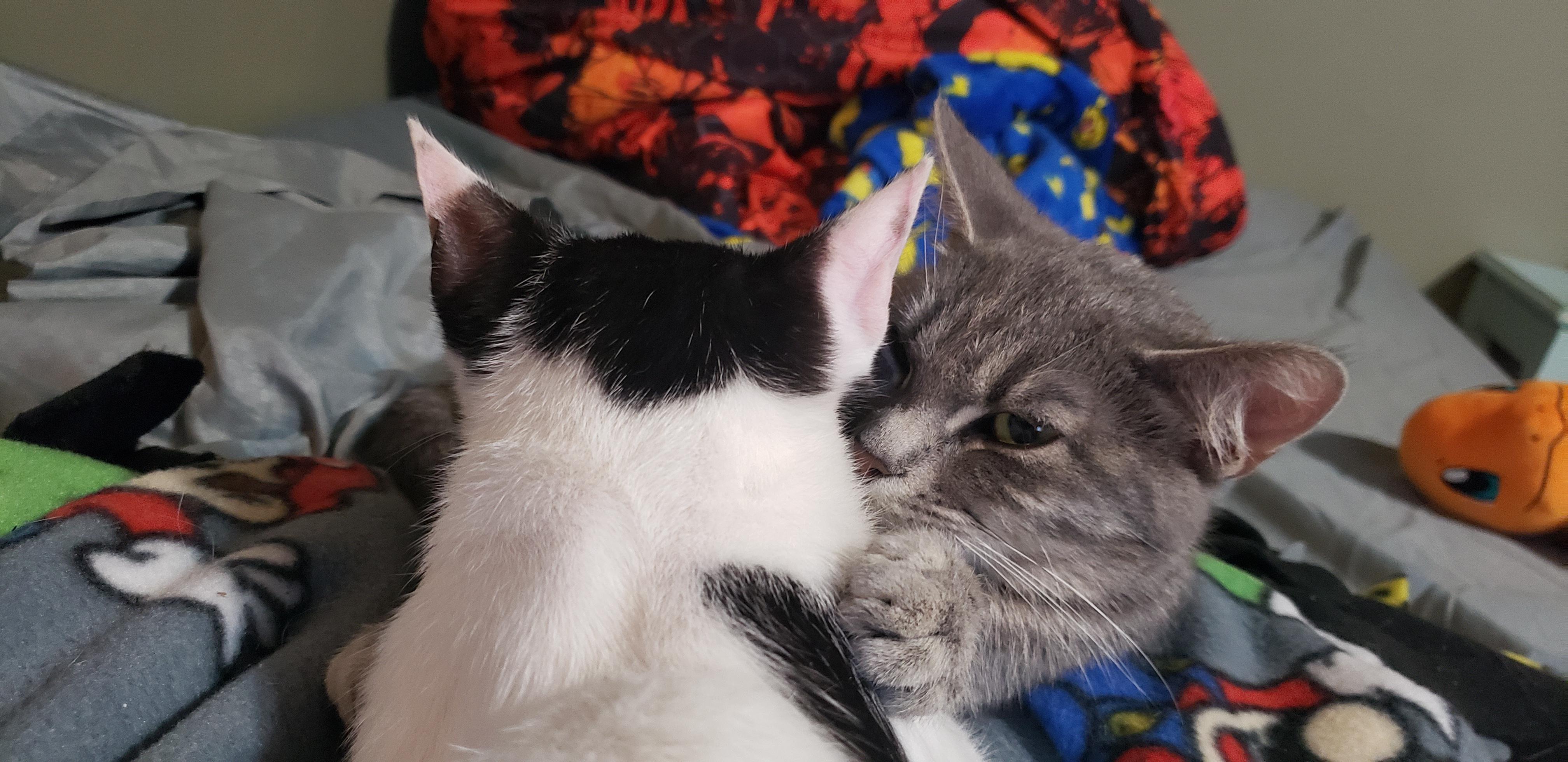 Unexpected Family | Scrolller