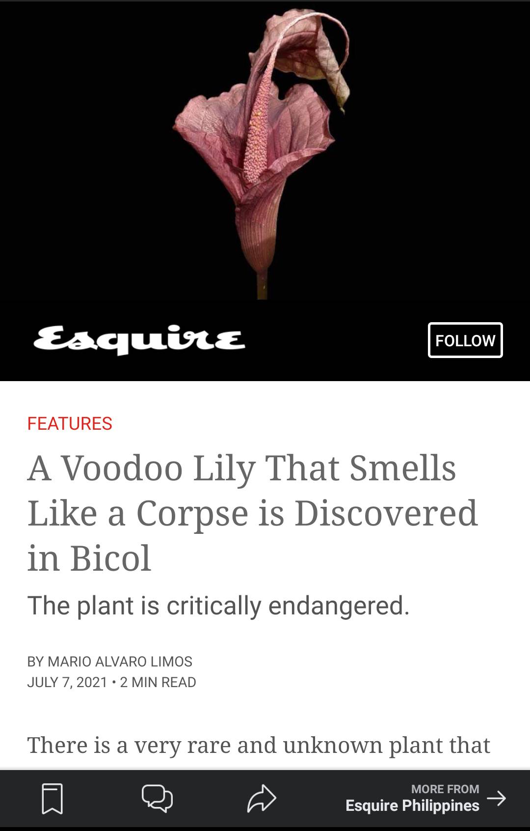 Unexpected Lily and Corpse collab | Scrolller