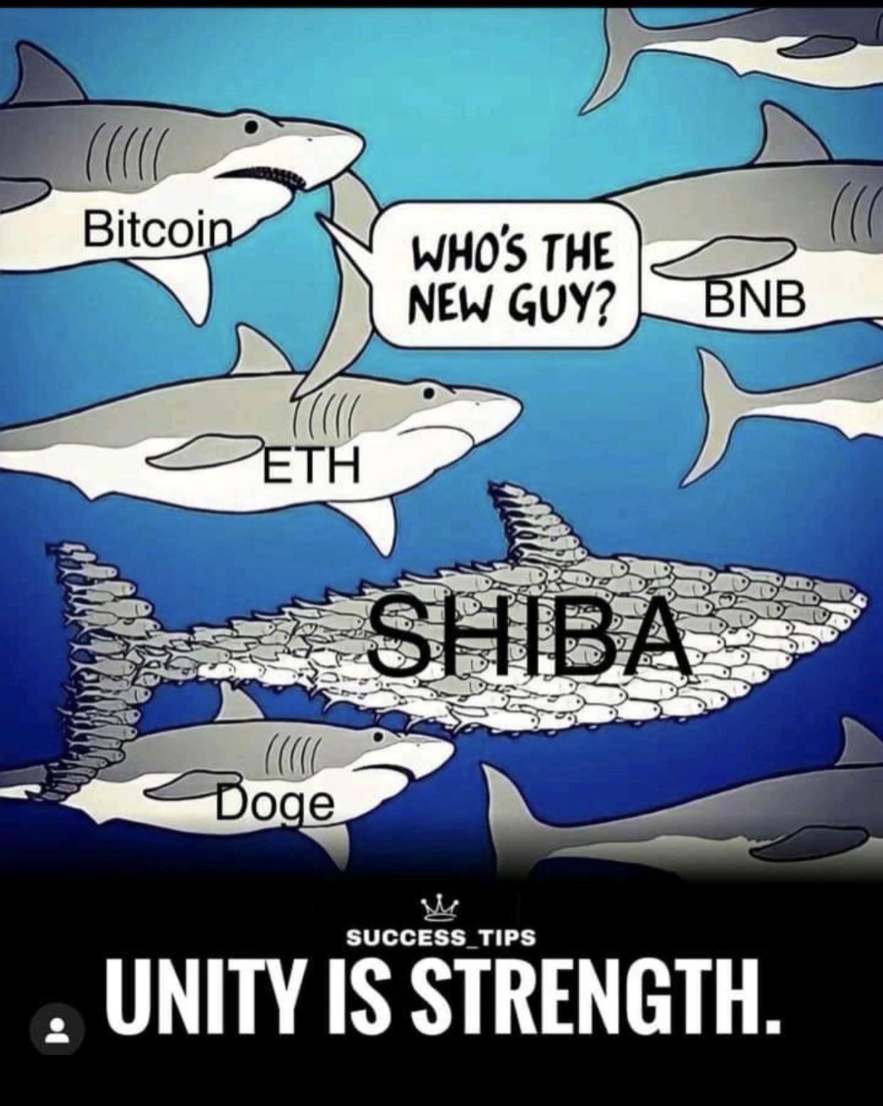 Unity is Strength! | Scrolller