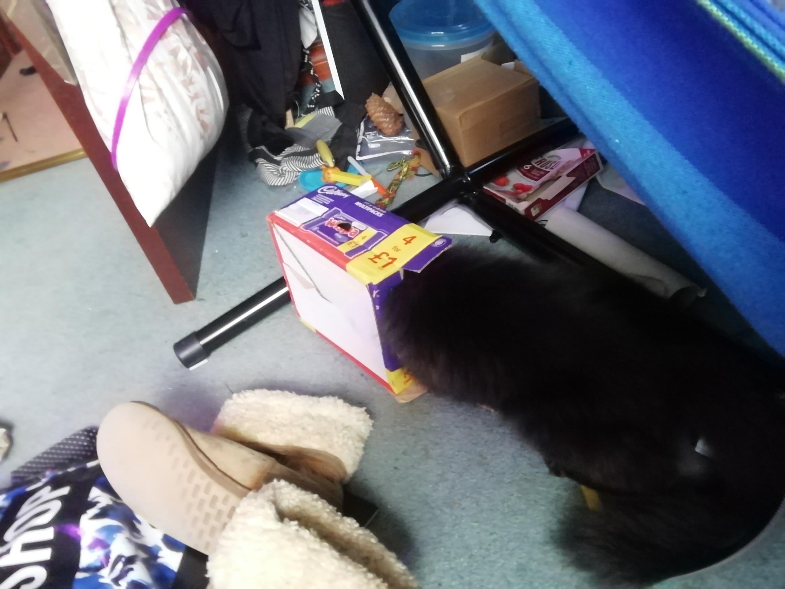 Unrestrained summer fun | Scrolller