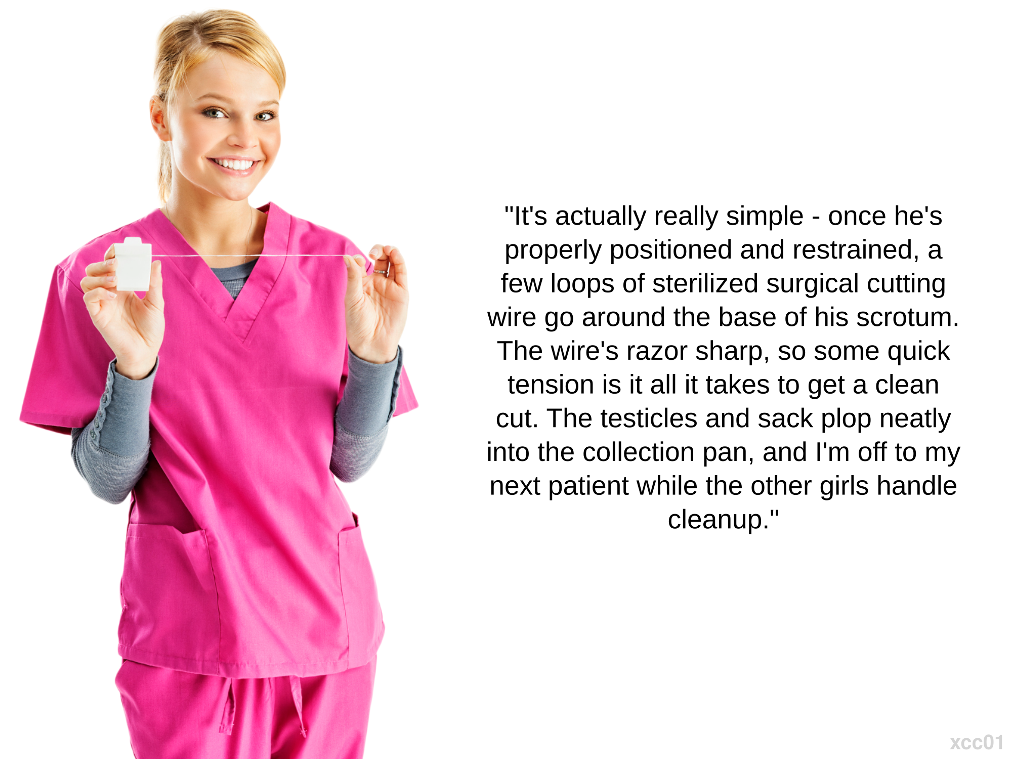 Unrivalled efficiency | Scrolller