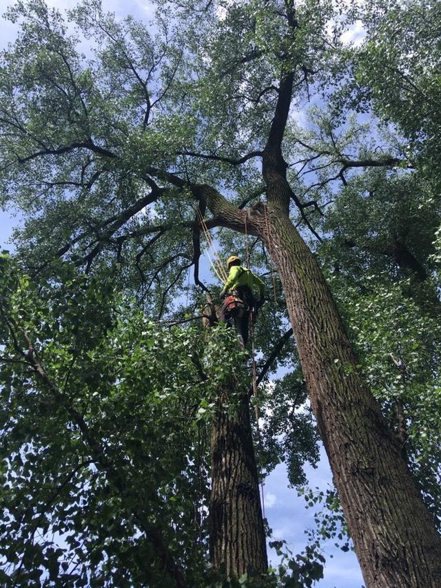 Pretty choice rigging points today. | Scrolller