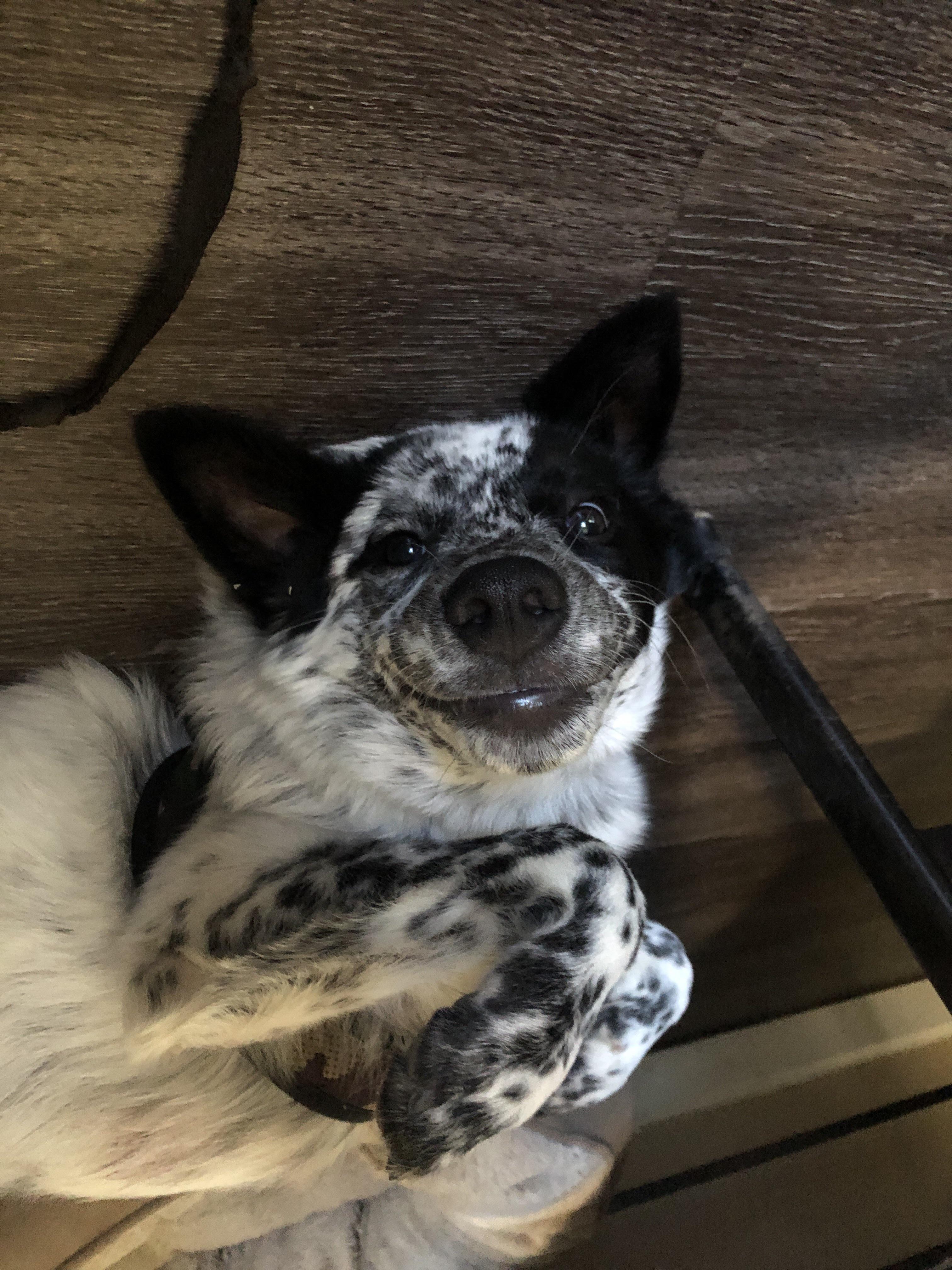 Upside down Smiles 🙃 | Scrolller