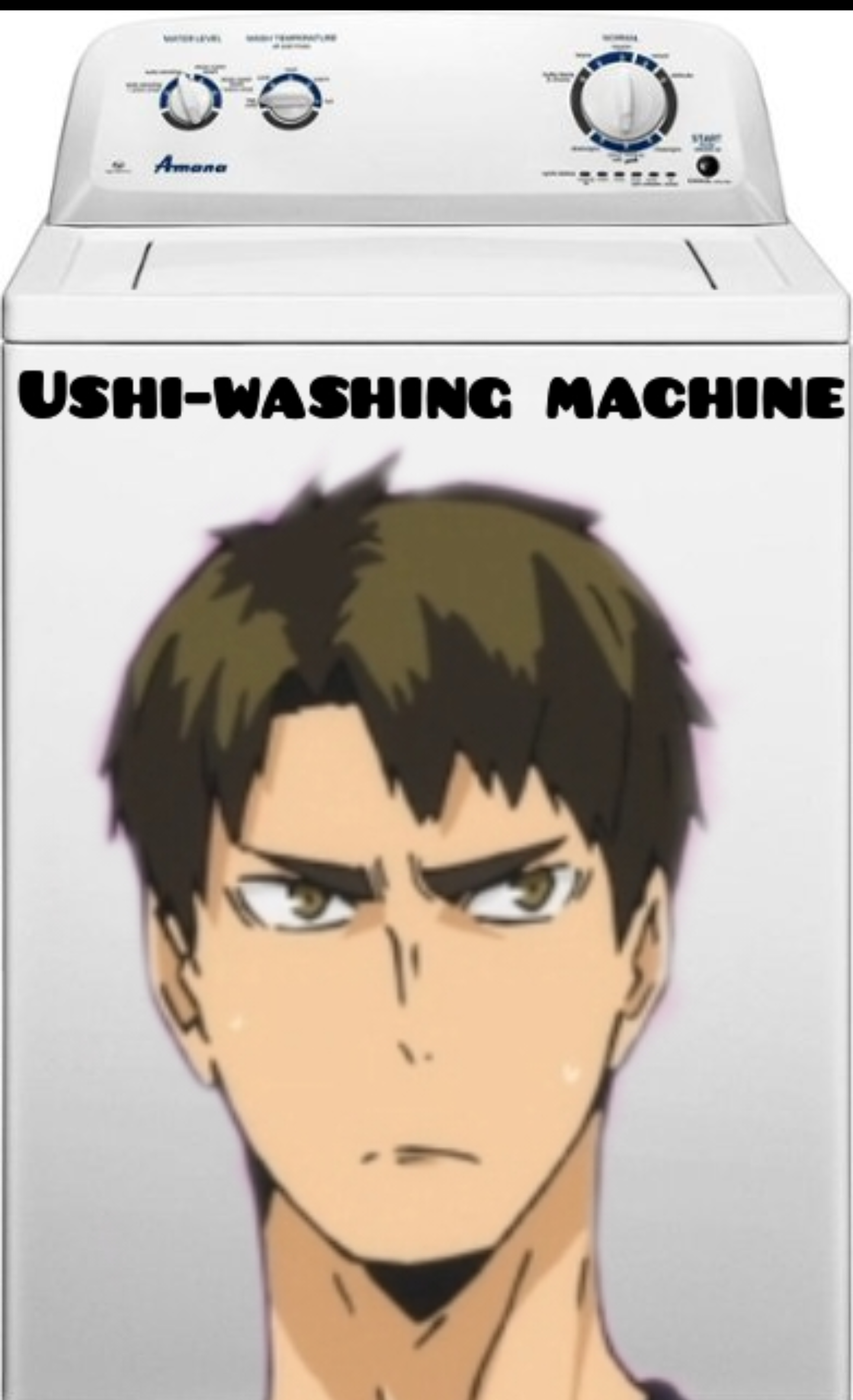 Ushi-washing machine | Scrolller
