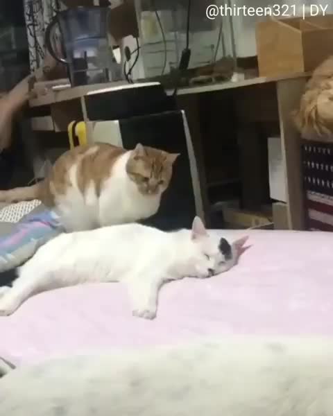 Using the dimension in self defense | Scrolller