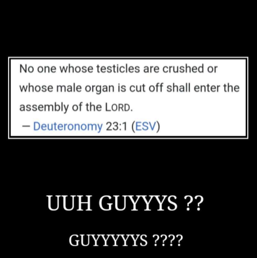 UUH GUYYYS ?? | Scrolller