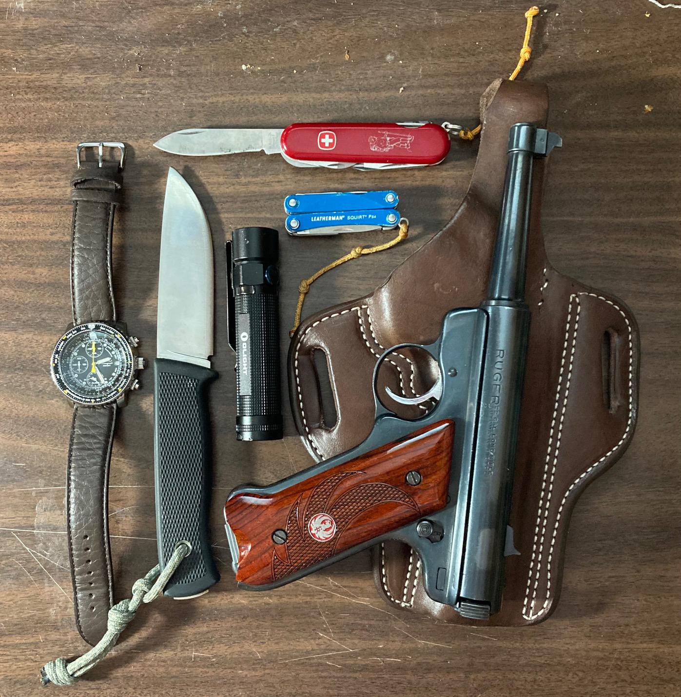 Vacation Carry | Scrolller