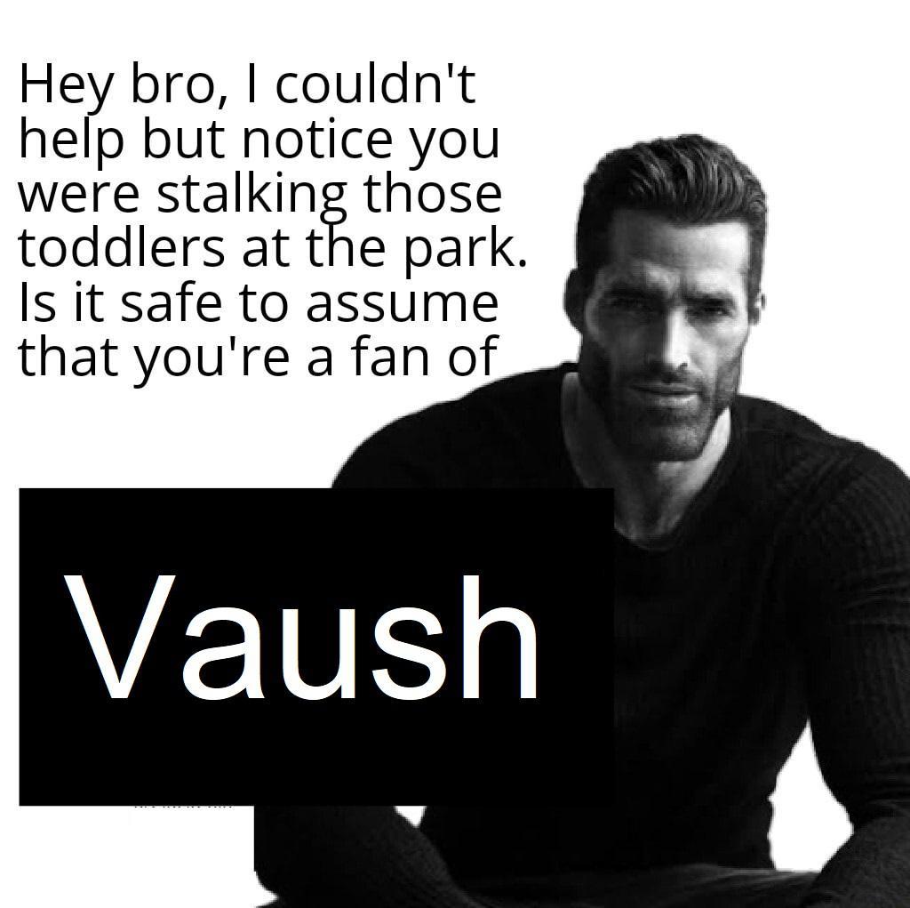 Vaush moment | Scrolller