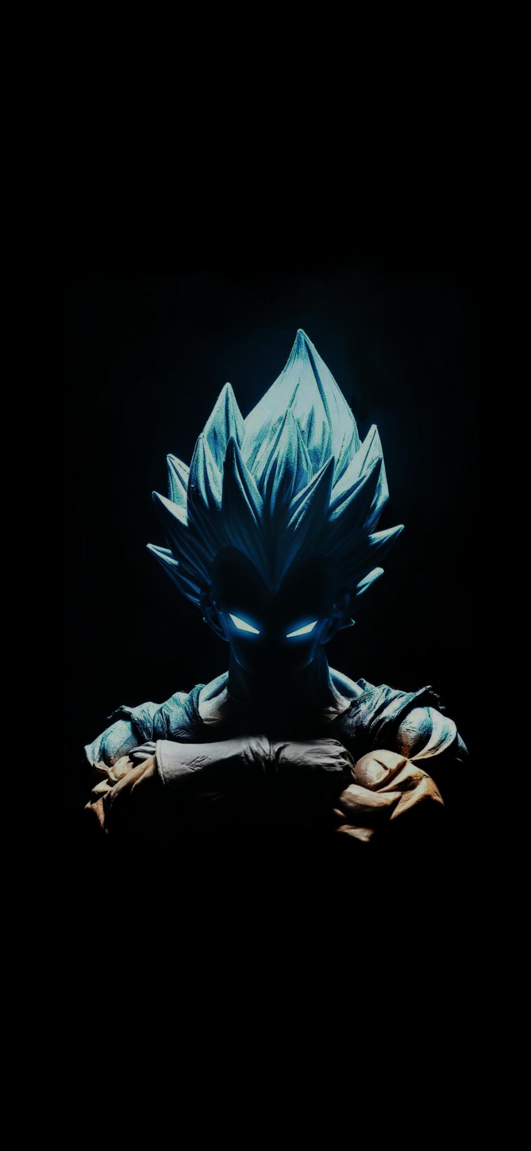 Vegeta Super Saiyan Blue [1080x2340] | Scrolller