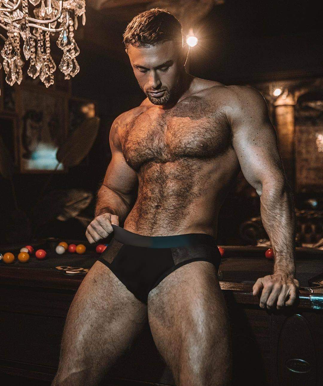 Velvet ginger... | Scrolller