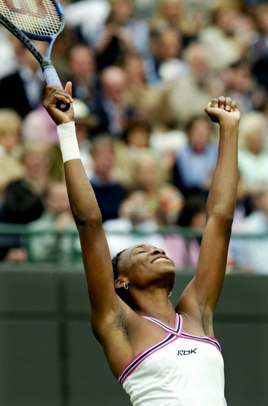 Venus Williams | Scrolller