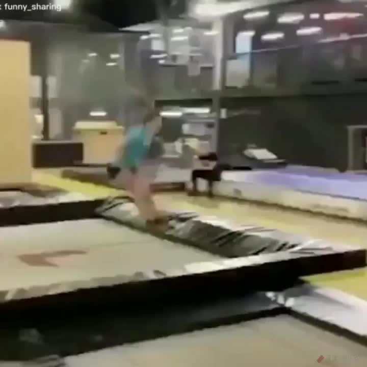 Vertical Shrimp | Scrolller