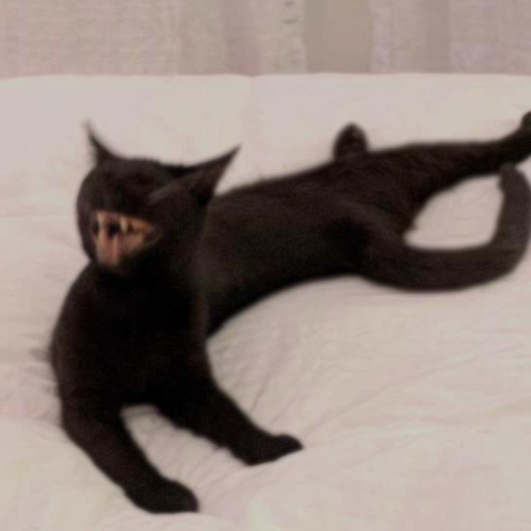 very cursed | Scrolller