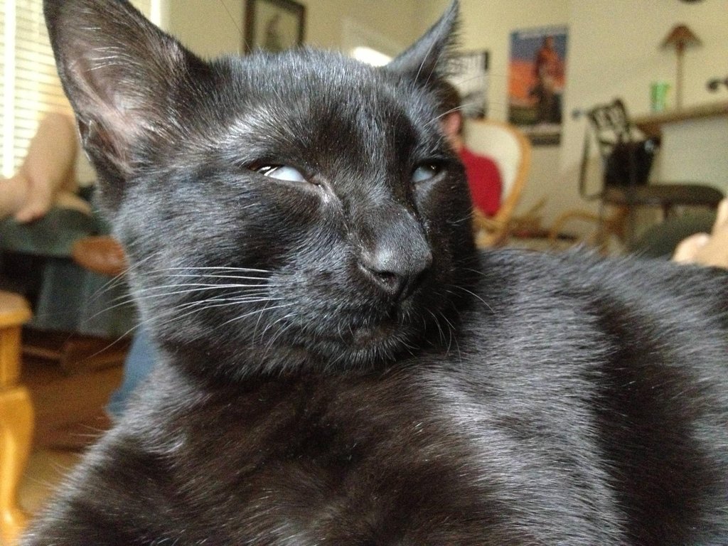 Very Derpy | Scrolller