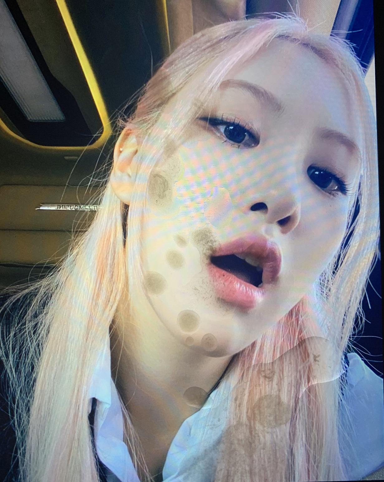 Rosé tribute | Scrolller