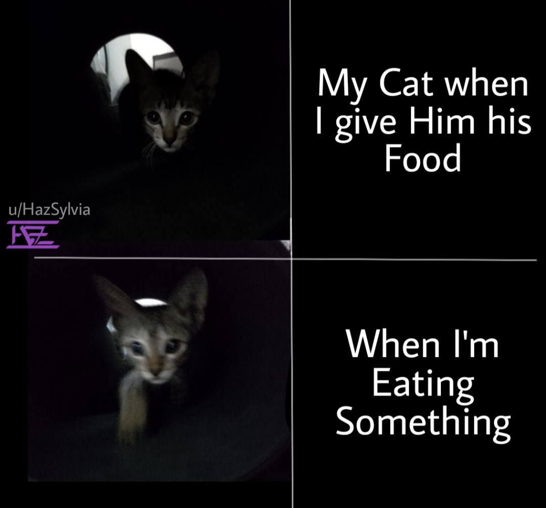 Very True ( Yes it's him ) | Scrolller