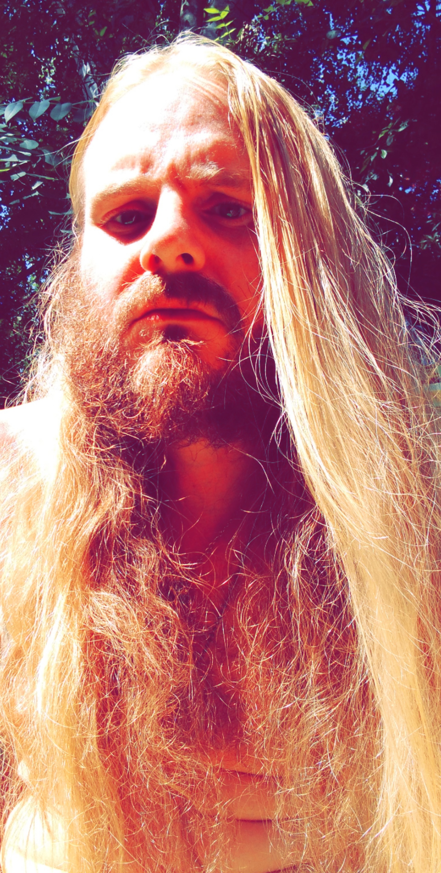 Viking ☀️☀️ | Scrolller