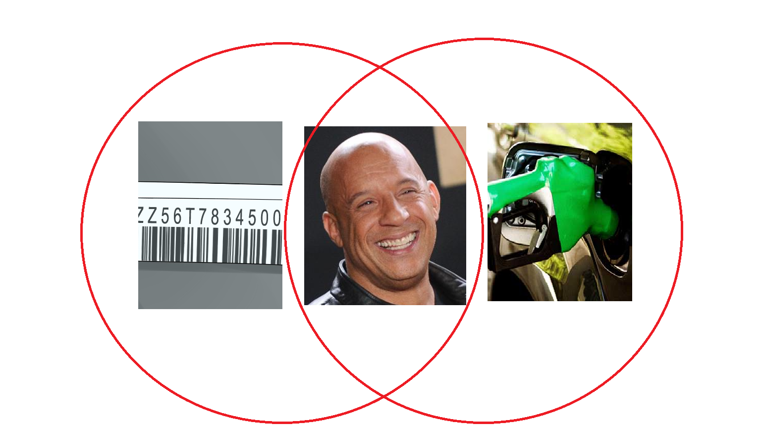 Vin Diagram | Scrolller