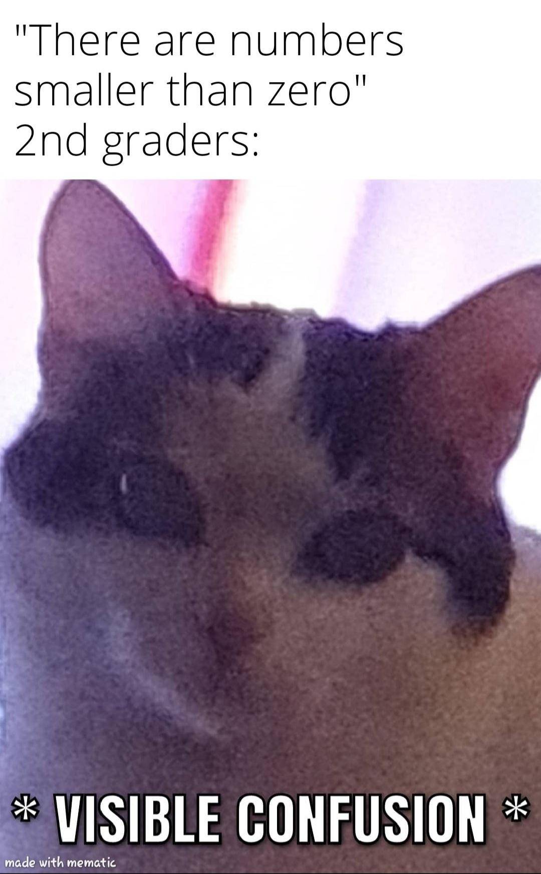 Visible Confusion | Scrolller