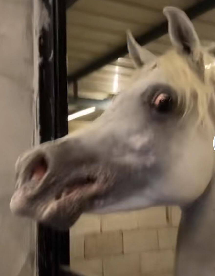 *visible panic* | Scrolller