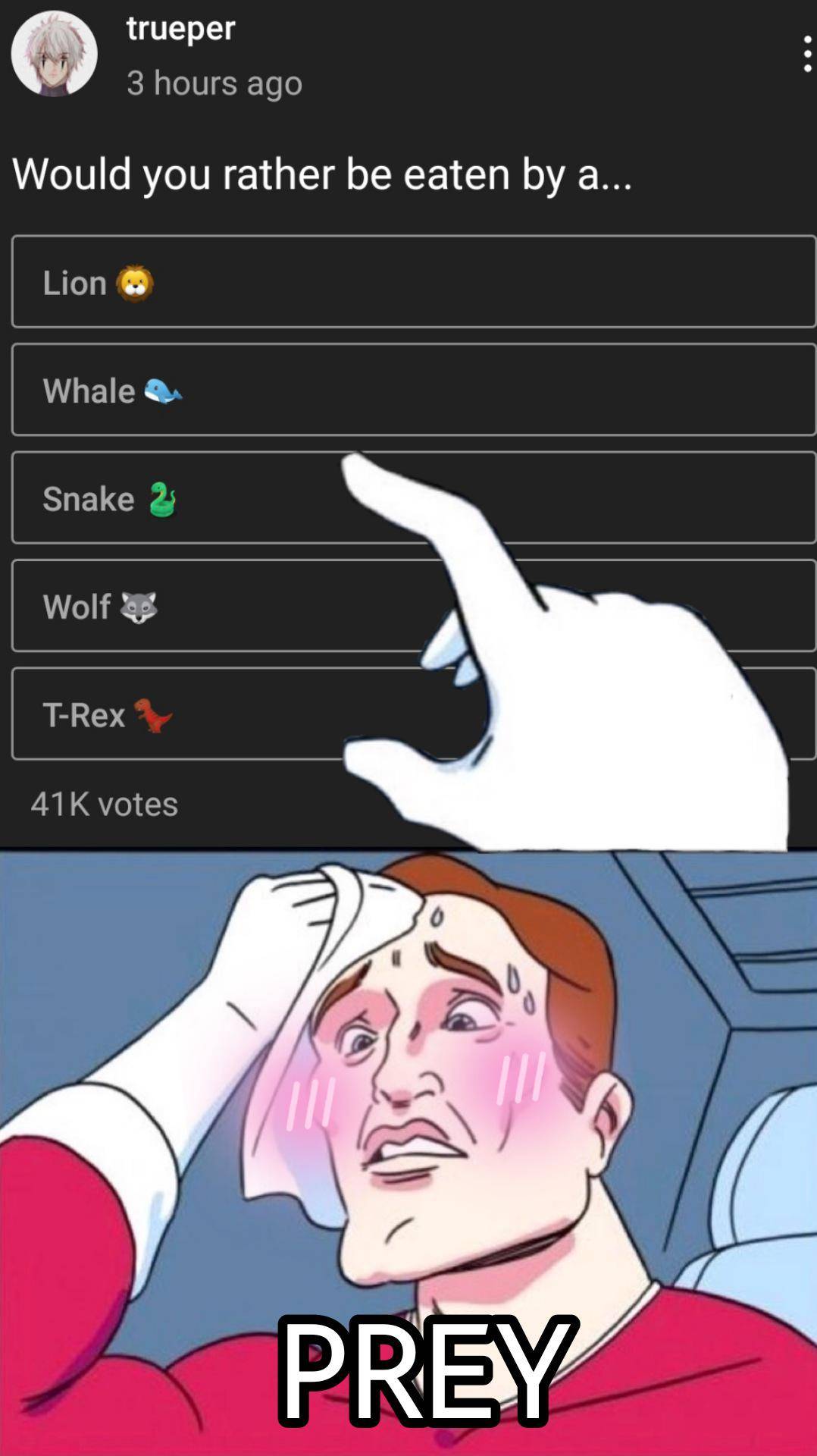 vore_irl | Scrolller