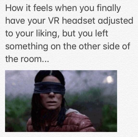 VR is just Bird Box IRL sometimes. | Scrolller