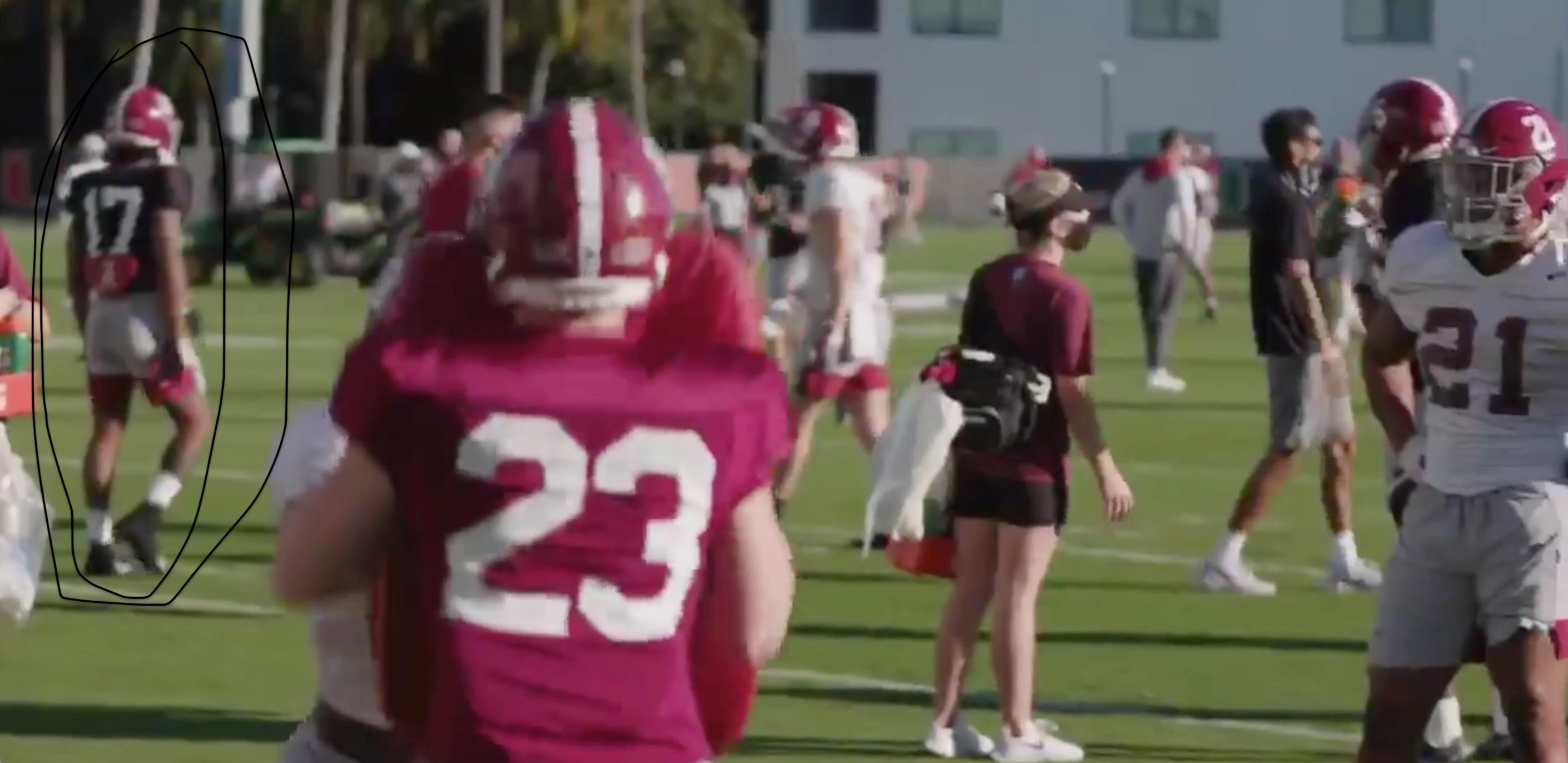 Waddle Sighting | Scrolller