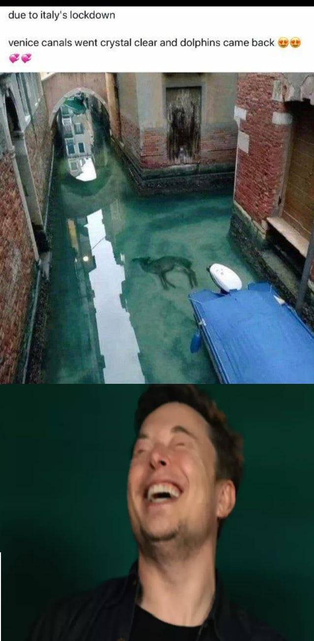 Wait.. That actually happened? | Scrolller