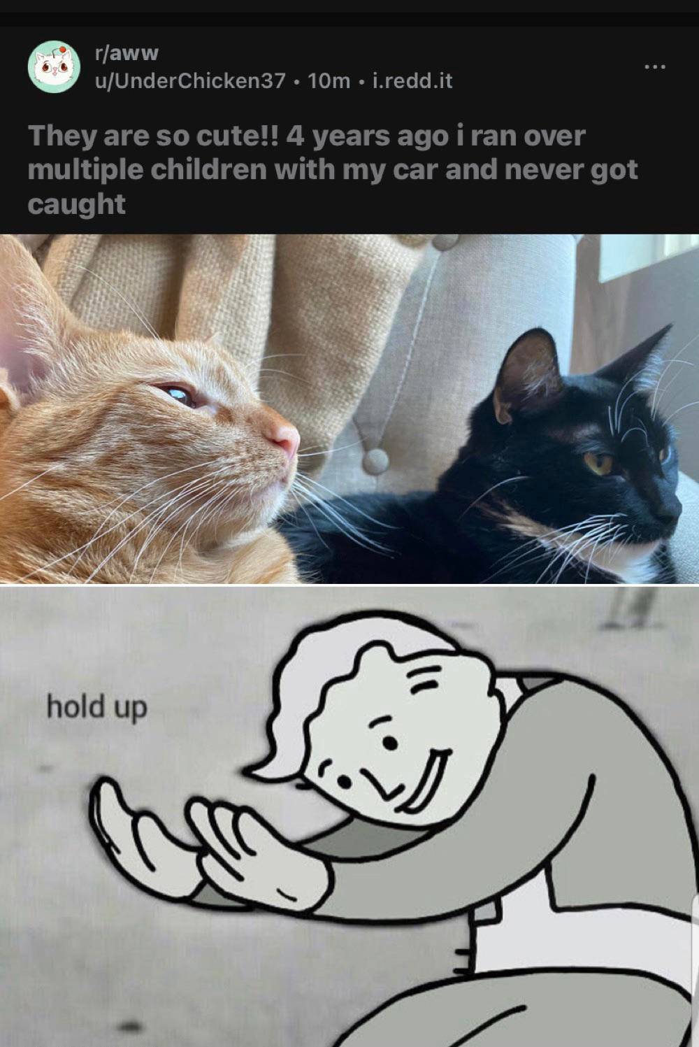 Wait what…. | Scrolller