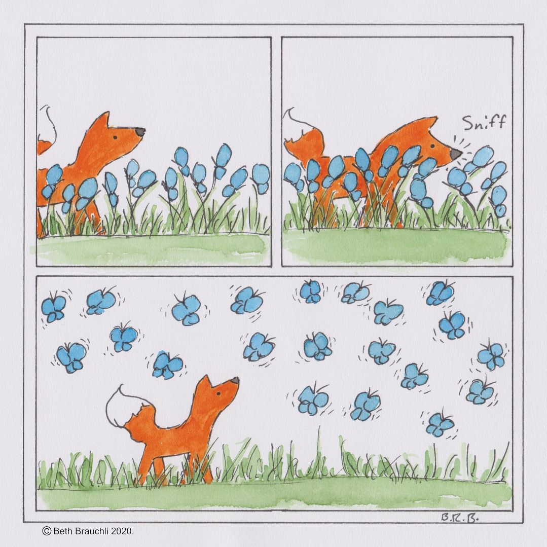 Wait ... what? | Scrolller