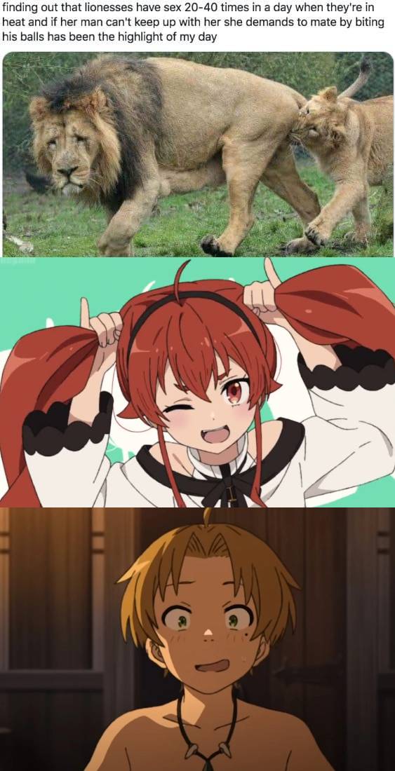 Waiting for the next season | Scrolller