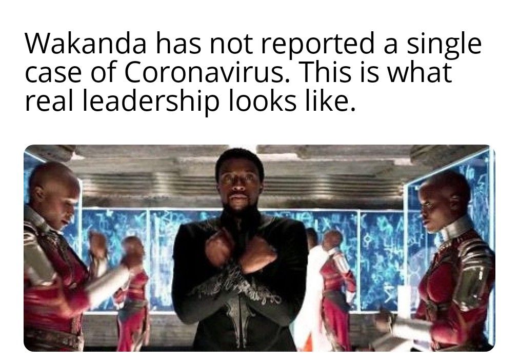 Wakanda Forever! | Scrolller