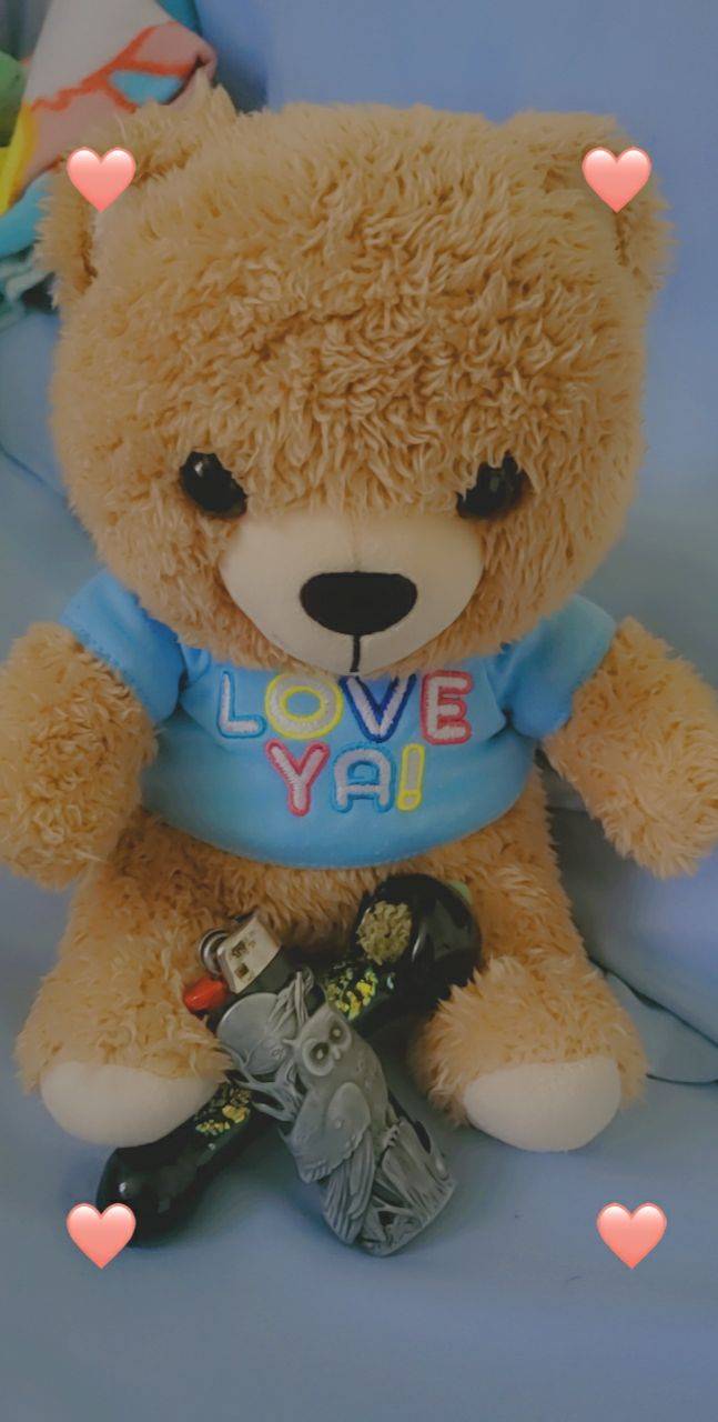 Wake and bake with teddy 🧸 | Scrolller