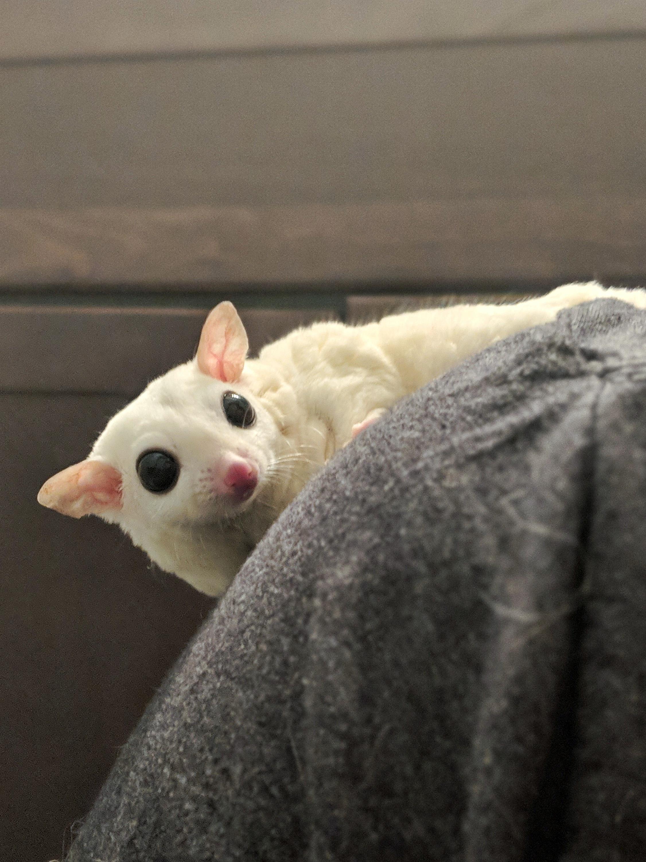 Walter White. | Scrolller