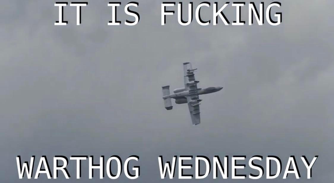 Warthog Wednesday! | Scrolller