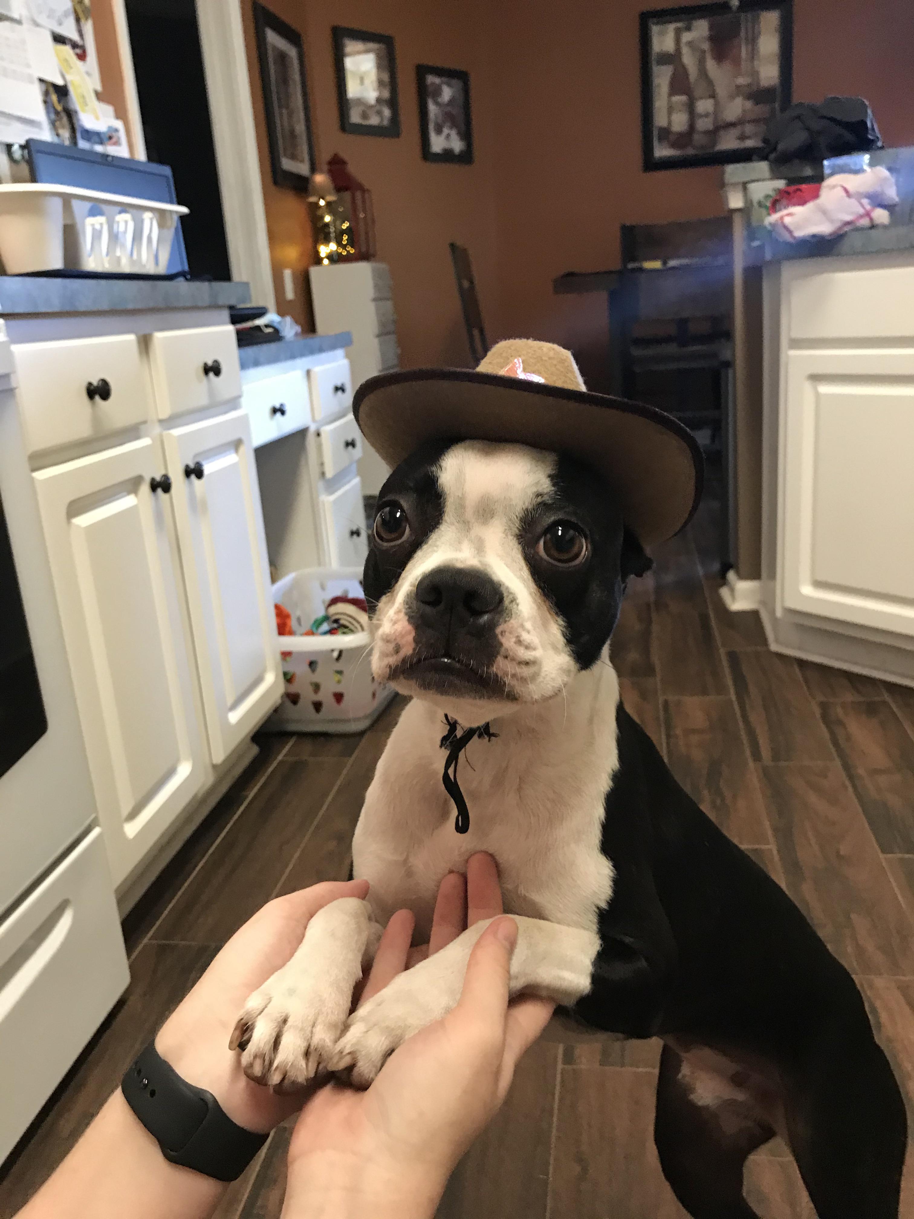 was told to post this here too! | Scrolller