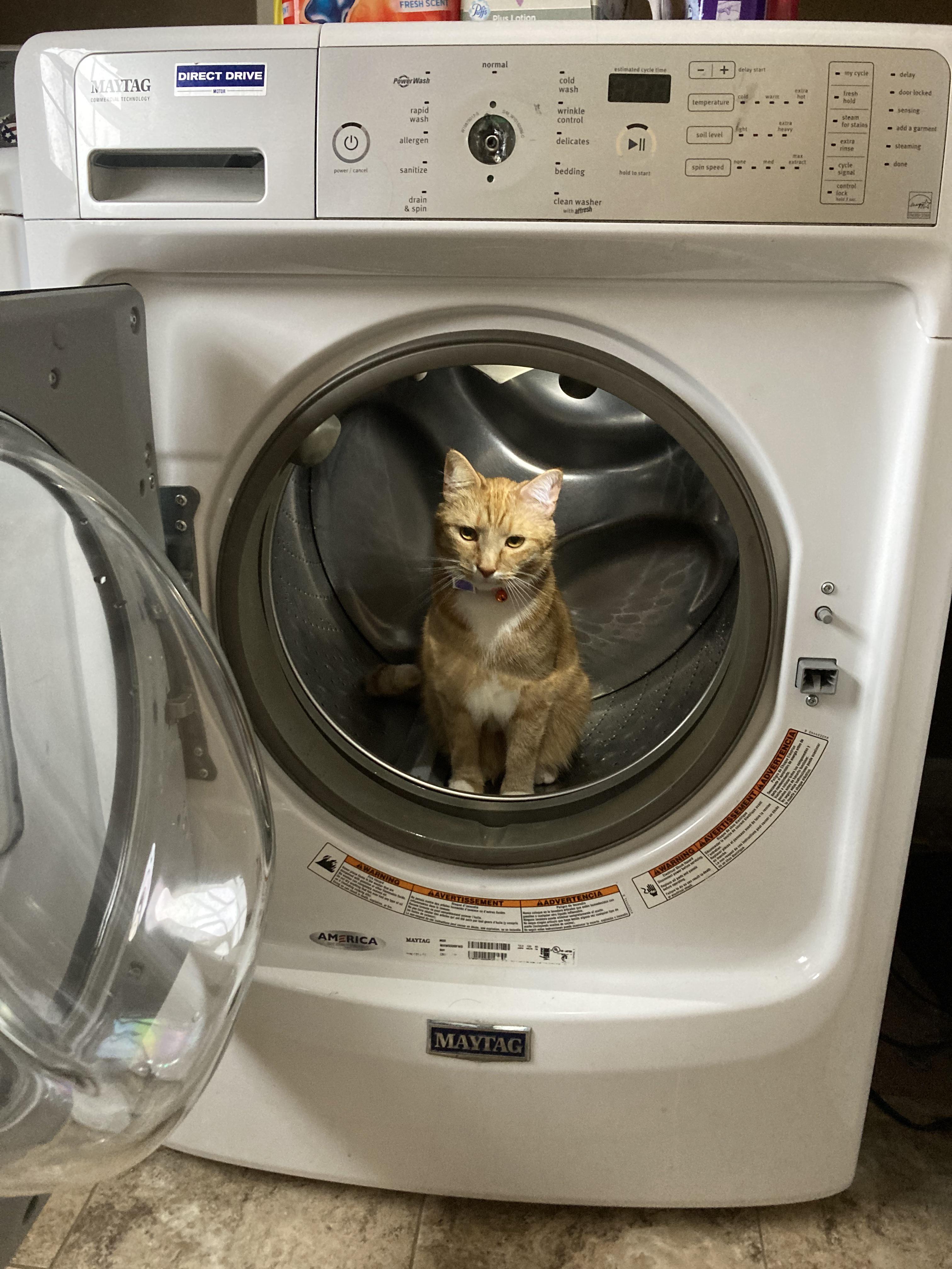 “Washing Machine Checks Out👍🏼” | Scrolller