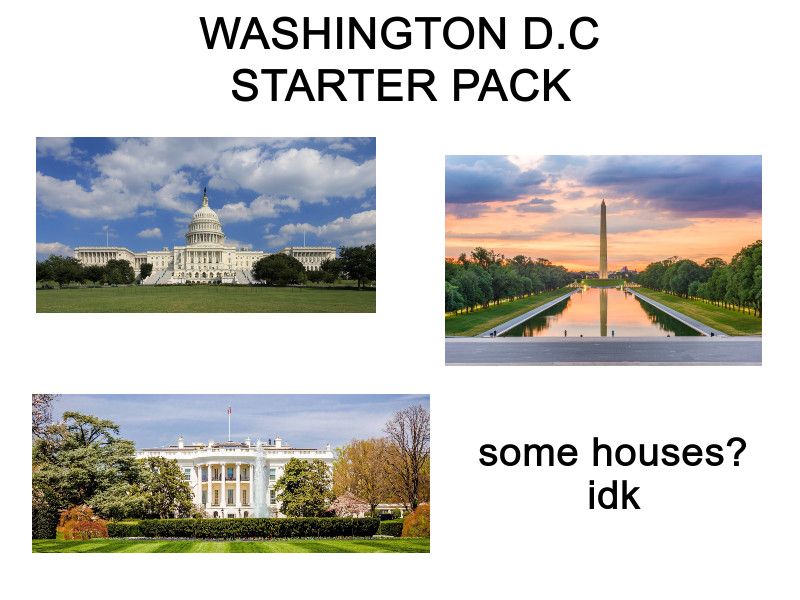 Washington D.C starter pack | Scrolller