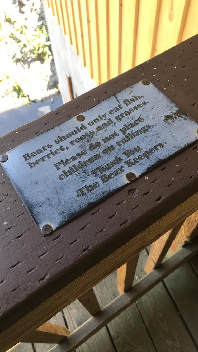 Watch them bears | Scrolller