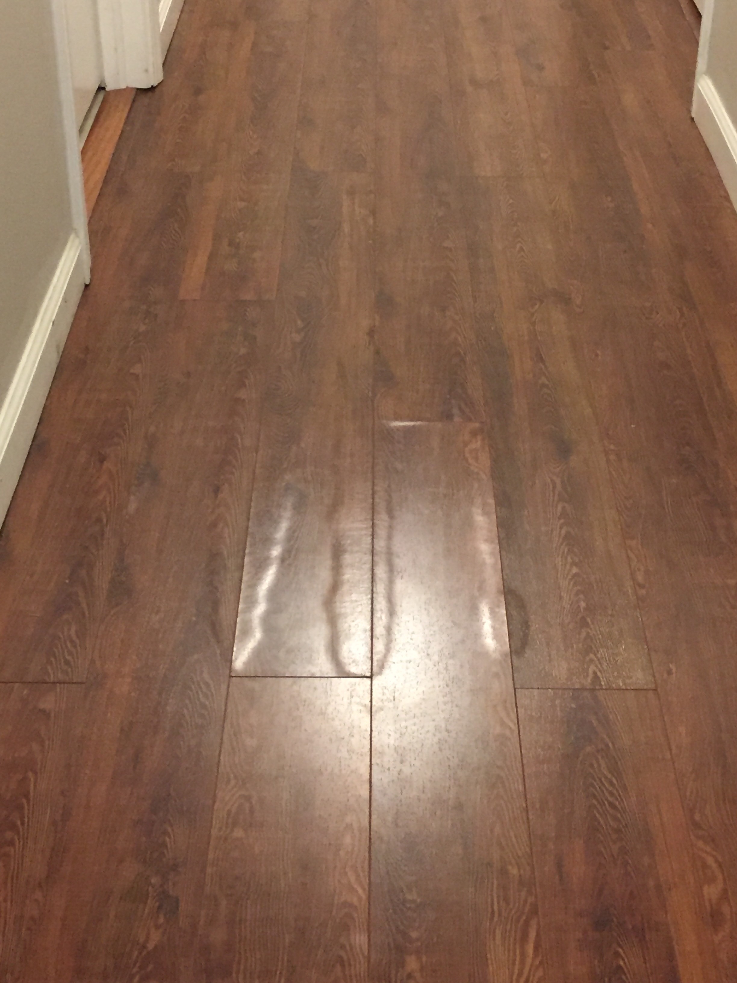 Water damage in hallway that has appeared to grow? Only lived here a month. | Scrolller