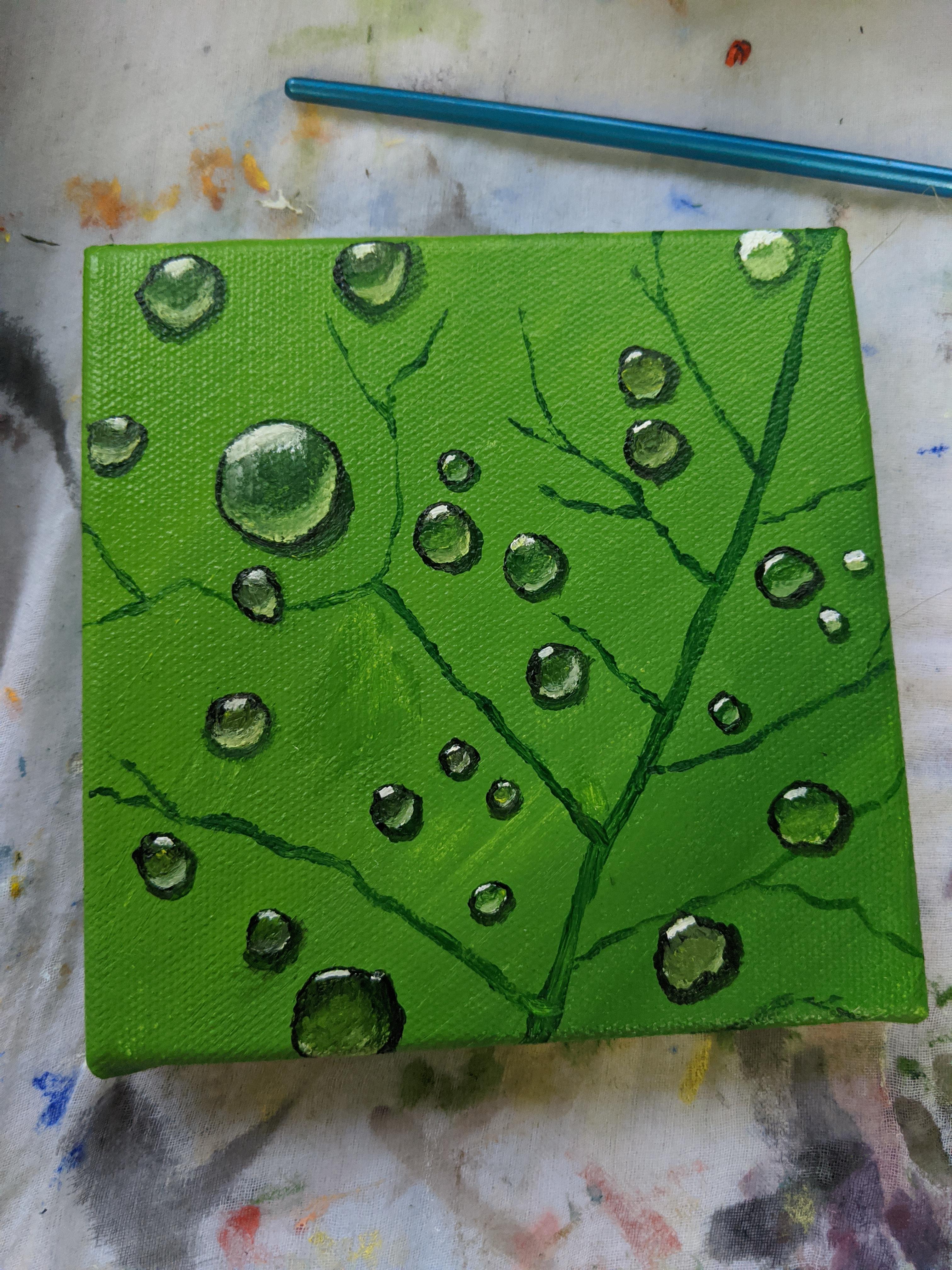 Water Droplets on a Leaf | Scrolller