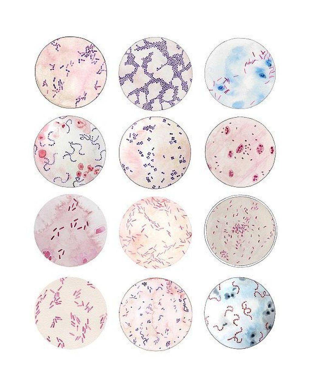 “Watercolor Microbe Collection” by Sandra Culliton | Scrolller