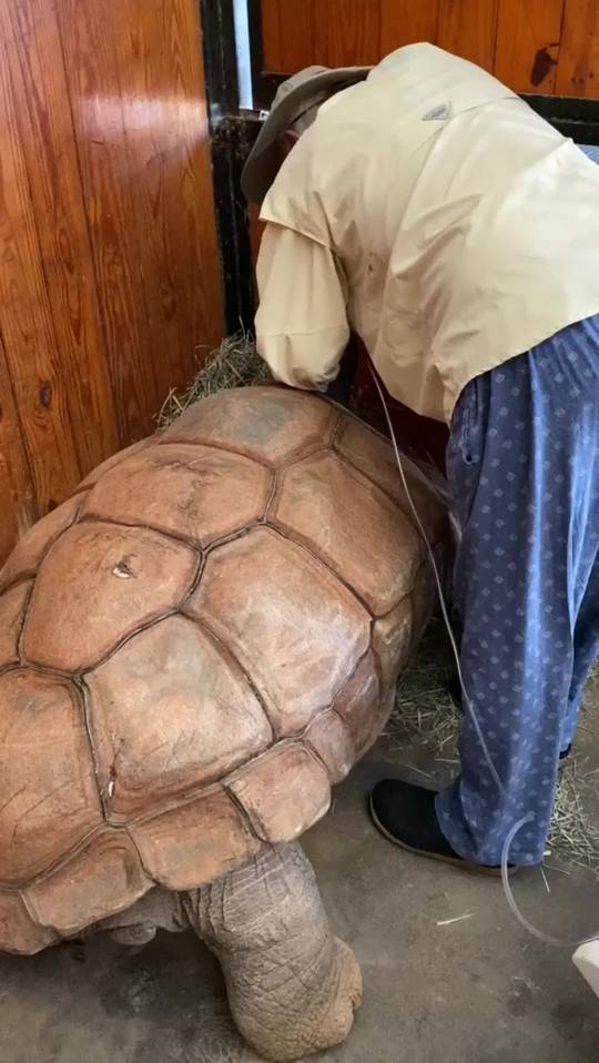 Wayne and his 200-year-old tortoise, Ozzy | Scrolller