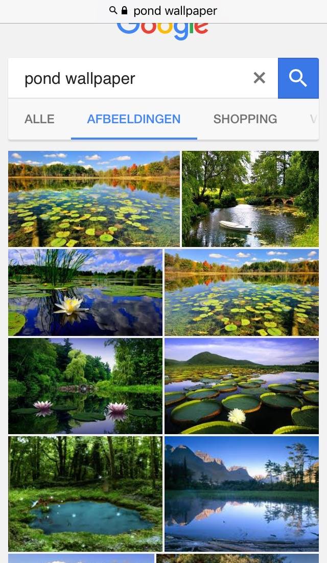 We All Know The Struggle | Scrolller