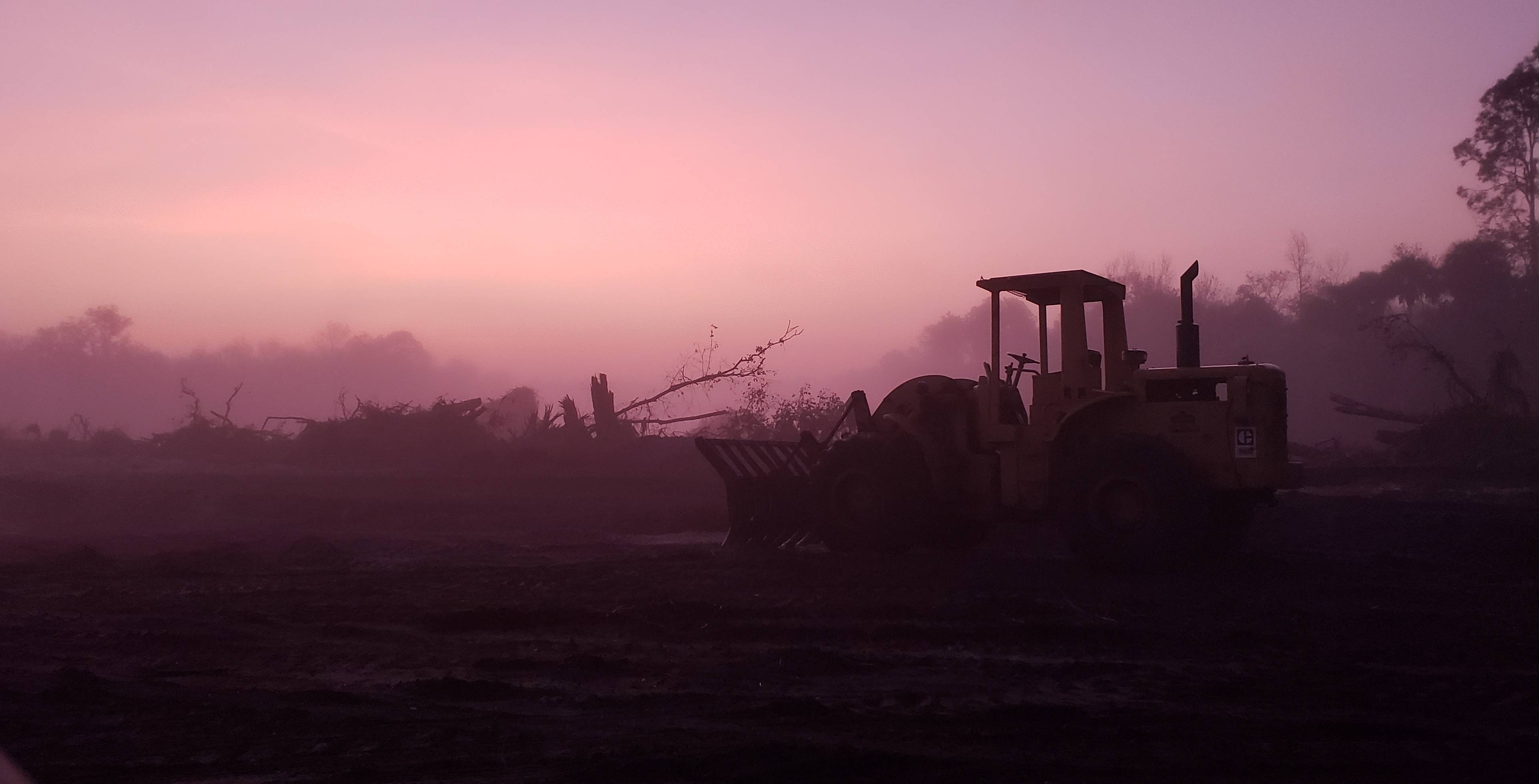 We call her Cream Puff. | Scrolller