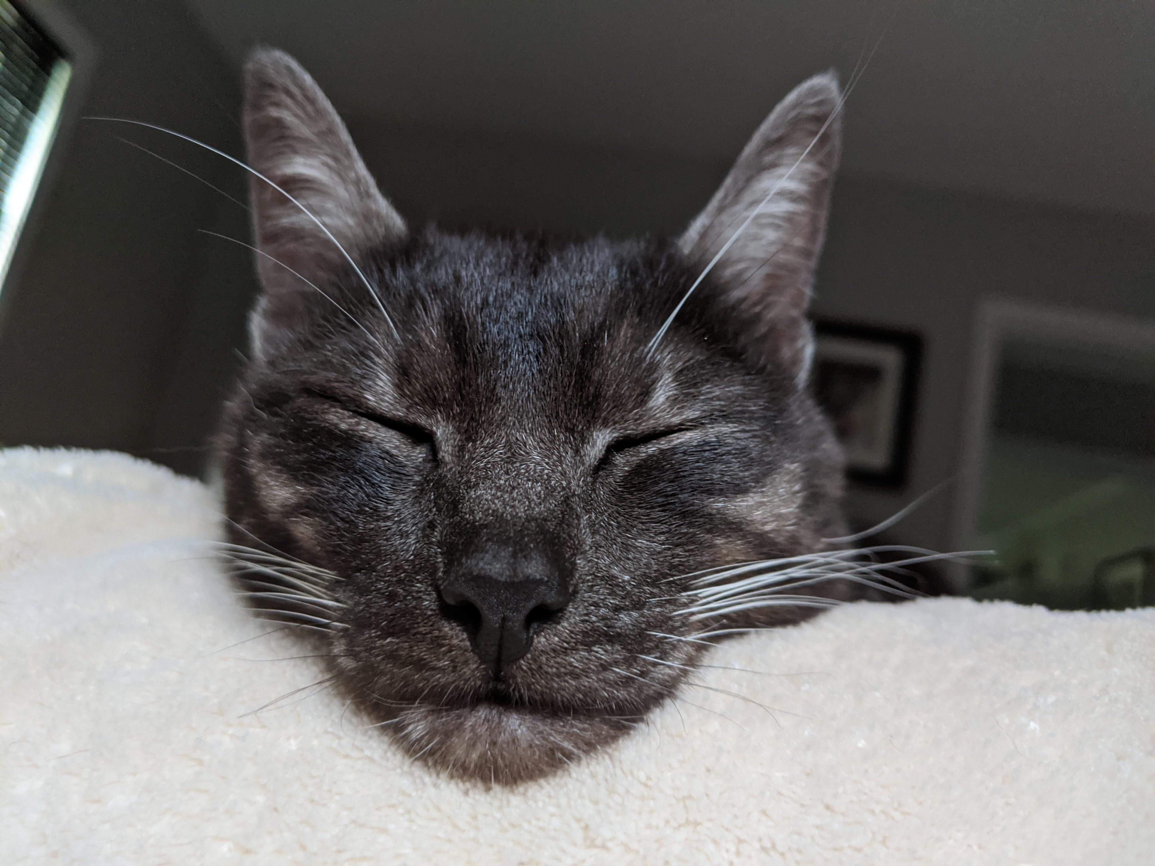 We call this her Abraham Lincoln chin | Scrolller